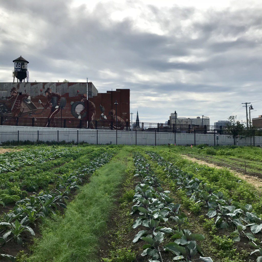 Connect with Urban Farmers During the 23rd Annual Tour of Detroit Farms ...